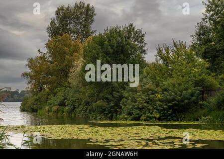 A small river with calm waters and flowering water lilies along the ...