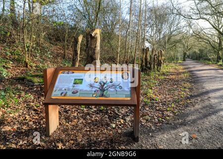 The Salt Line nature trail and cycleway route following the line of a ...