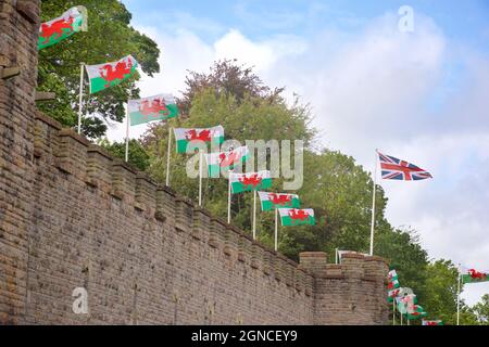 Welsh flags flying above Cardiff Castle, Wales Stock Photo - Alamy