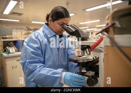The Military Sealift Command fleet ocean tug USNS Apache (T-ATF 172 ...