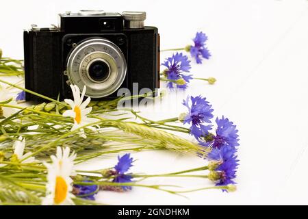 Retro vintage old camera with cornflowers and daisies on a white wooden ...