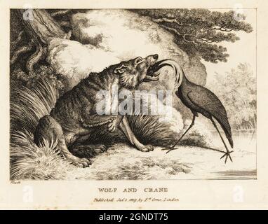 'The Wolf and the Crane' from 'The Fables of Aesop and Others ...