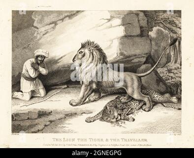Illustration, The Tale of the Tiger Stock Photo - Alamy