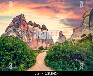 Fantastic fungous forms of sandstone in mountain canyon near Cavusin ...