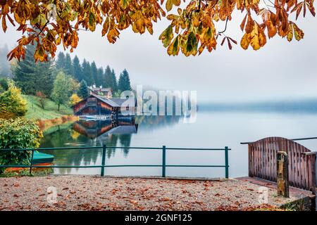 Foggy autumn scene of Altaussee town, district of Liezen in Styria ...