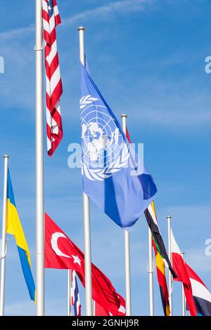 flags of many nations in canberra Stock Photo - Alamy