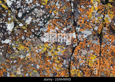 concrete rockwall as background Stock Photo - Alamy