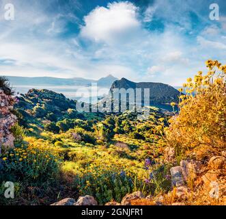 Pylos, Peloponnese, Greece, greek and EU flags, trees and sea view ...