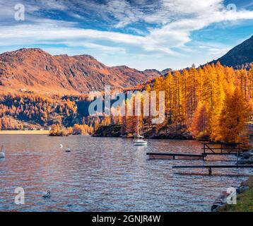 White yacht on the Sils lake. Orange hills with larch trees in Swiss ...