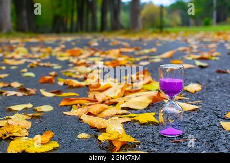 Hourglass and autumn leaves in the park. A symbol of passing time ...