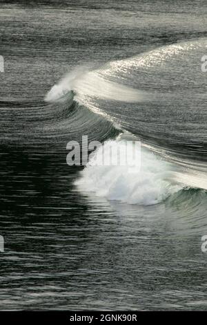 Wave in Crescent Bay, Salt Creek Recreation Area, Strait of Juan de ...