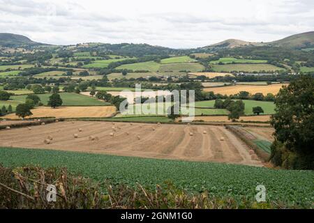Rolling Welsh countryside with patchwork fields and wooded valleys in ...