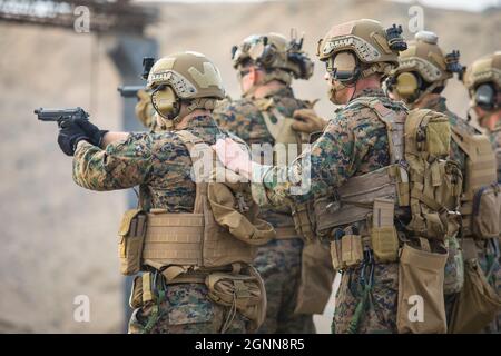 Members of the Infanteria de Marina (Peruvian Marine Corps), Fuerzas ...