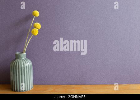 Vase of yellow Craspedia dry flowers on wooden table. mint green wall ...
