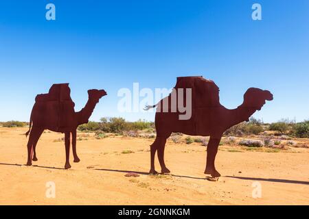 Metal statues of a camel train to commemorate Alfred Canning surveying ...