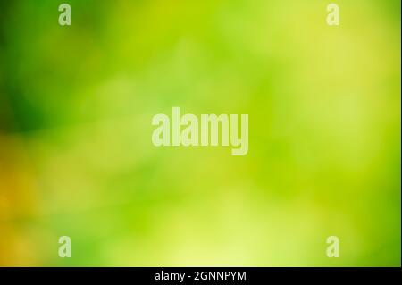 Beautiful nature abstract background with variants of green color Stock ...