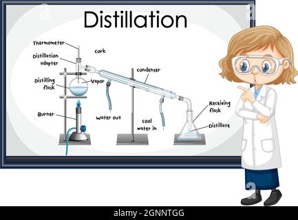 Distillation process diagram for education illustration Stock Vector ...