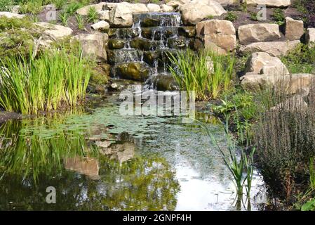 The Pond & Waterfall at the Chinese Streamside Garden at RHS Garden ...