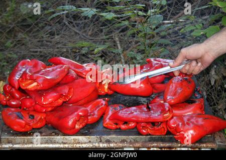 Roasting red peppers on cooker Stock Photo - Alamy