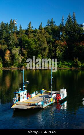 Canby Ferry on Willamette River, Clackamas County, Oregon Stock Photo ...