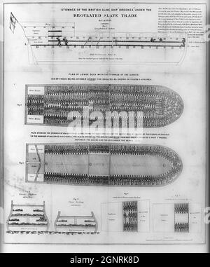 Stowage of the British slave ship Brookes under the regulated slave ...