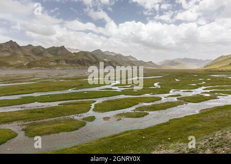 Green flooded plains mountain valley Stock Photo - Alamy