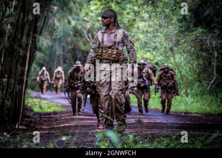 Students at the 25th Infantry Division Lightning Academy's Jungle ...