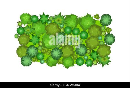 Small forest with height. Park with trees. View from above. Plant ...