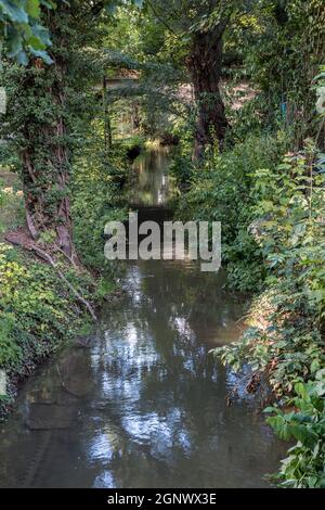 Little bridge across the little creek in the green countryside Stock ...