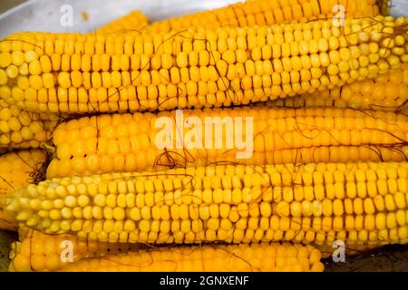 Boiled corn on an aluminum tray. Yellow boiled young corn, useful and ...