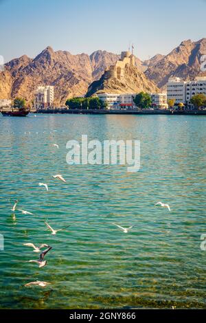 Muscat port and sea. View from the balcony of the old Muttrah Fort ...