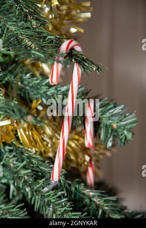 Two candy canes on an artificial Christmas tree near purple, red, blue ...
