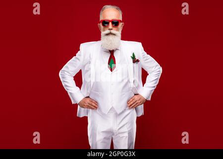 Photo of elegant imposing old man hold hands bear minded wear tree tie ...