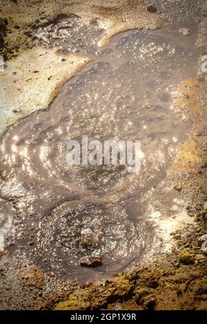 small geyser on Vilyuchinsky volcano small valley of geysers on the ...