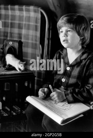 Alex D. Linz Film: Home Alone 3 (USA 1997) Characters: Alex Pruitt ...