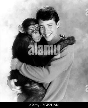 MATTHEW BRODERICK, CHIMPANZEE, PROJECT X, 1987 Stock Photo - Alamy