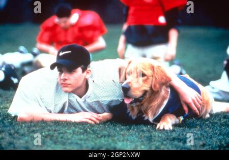 AIR BUD: GOLDEN RECEIVER, (aka AIR BUD 2), key art, Buddy the dog, 1998 ...