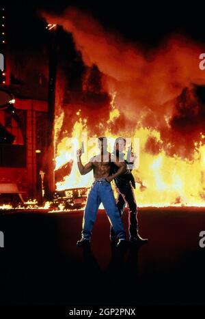 BACK IN ACTION, Billy Blanks, 1994. © Shapiro-Glickenhaus Entertainment ...