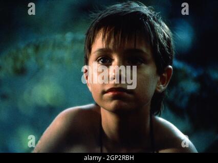 BINGO (1991) ROBERT J STEINMILLER JR BNG0 014 Stock Photo - Alamy