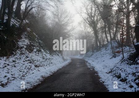A lonely road in winter, between trees with snow on a foggy morning ...