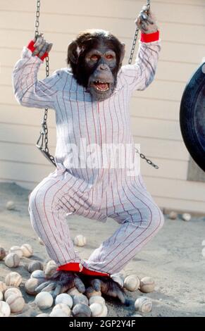 ED, 1996, (c)Universal/courtesy Everett Collection Stock Photo - Alamy