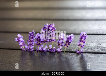 Lavender flowers on black table Stock Photo - Alamy