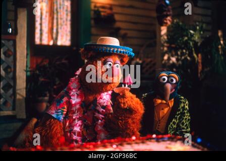 MUPPETS FROM SPACE, from left: Gonzo, Kermit the Frog, 1999. © Columbia ...
