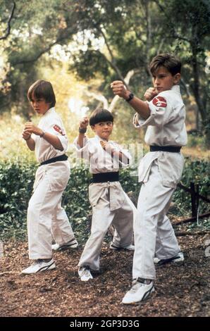 THREE NINJAS, (aka 3 NINJAS), from left: Max Elliott Slade, Chad Power ...