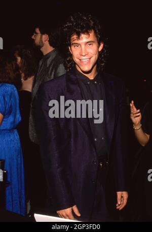 Brian Robbins Circa 1980's Credit: Ralph Dominguez/MediaPunch Stock ...
