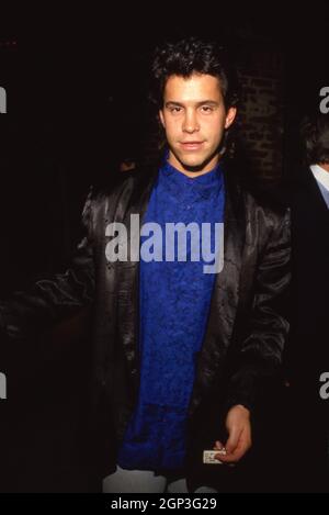 Brian Robbins Circa 1980's Credit: Ralph Dominguez/MediaPunch Stock ...