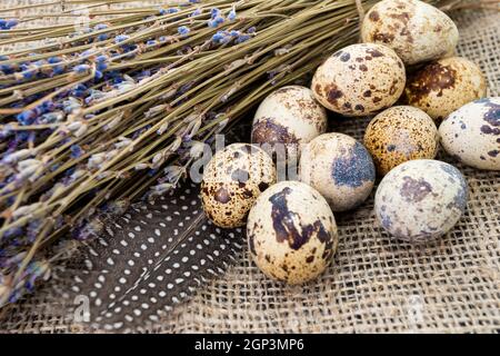 Fresh quail eggs. Rustic style Stock Photo - Alamy