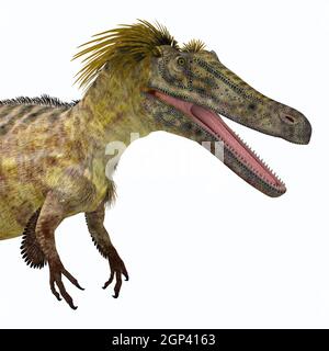 Austroraptor was a carnivorous theropod dinosaur that lived in ...