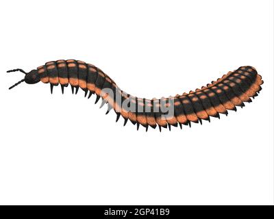 Arthropleura was a giant insect invertebrate that lived in North ...