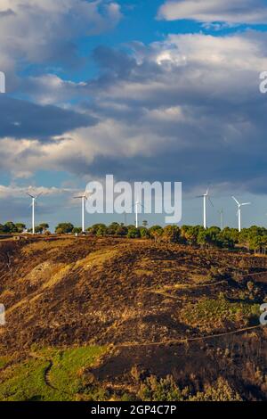 wind power plant illuminated by morning sun near Reggio di Calabria ...